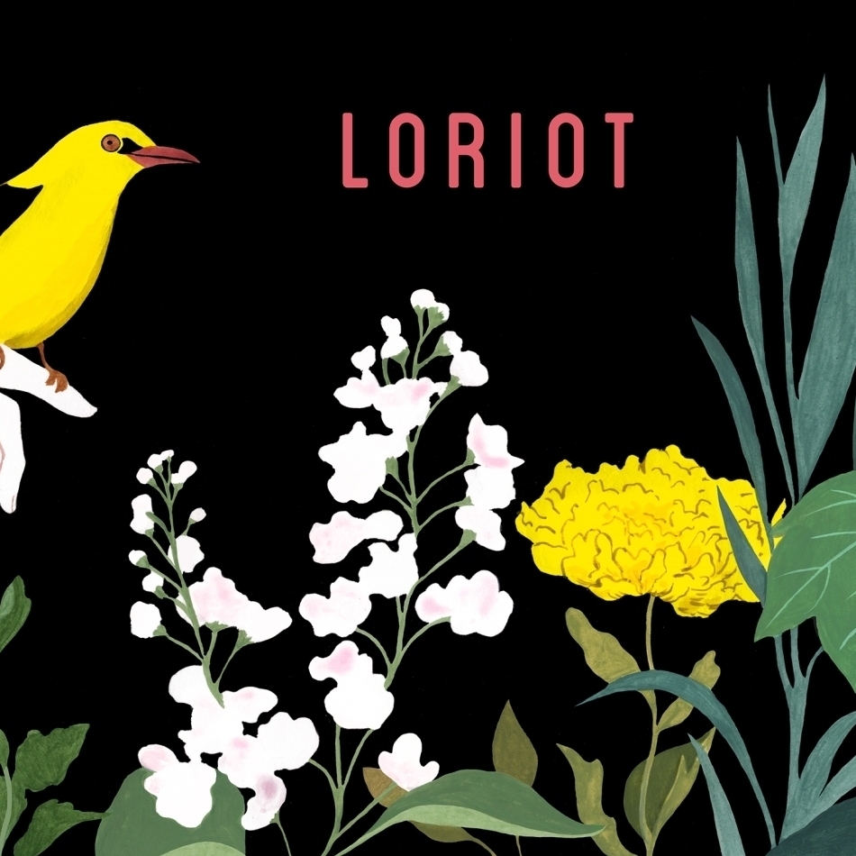Concert - Loriot - Audito - Café de Paris